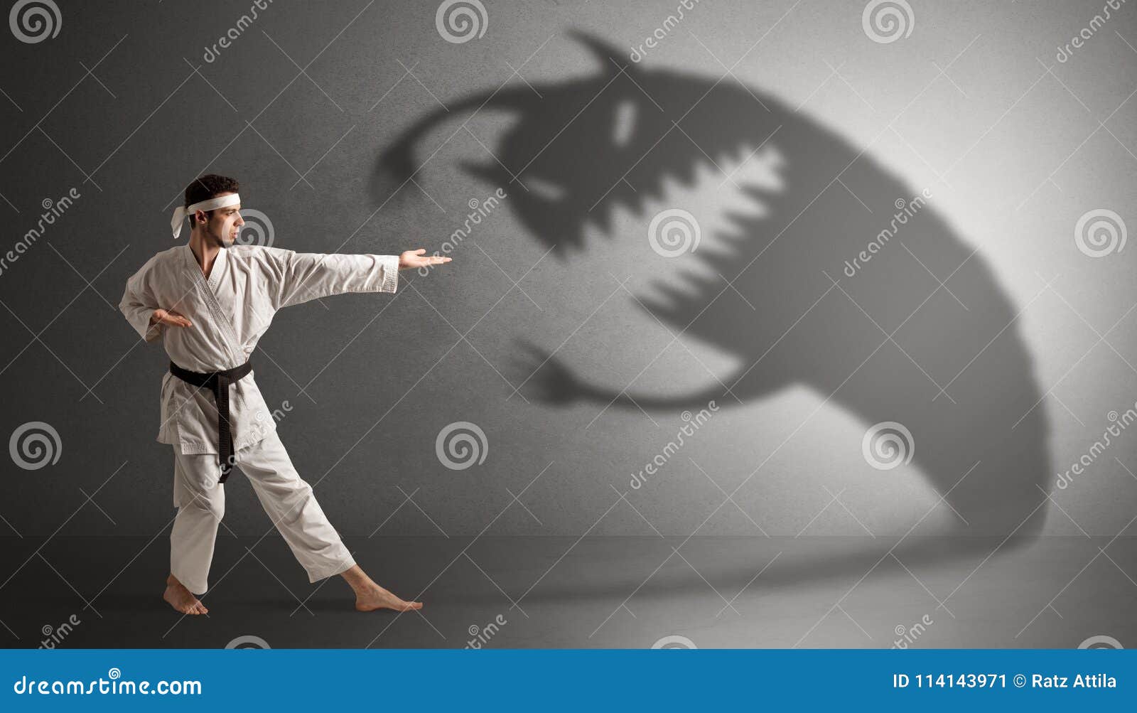 Karate Man Fighting with a Big Scary Shadow Stock Image - Image of ...