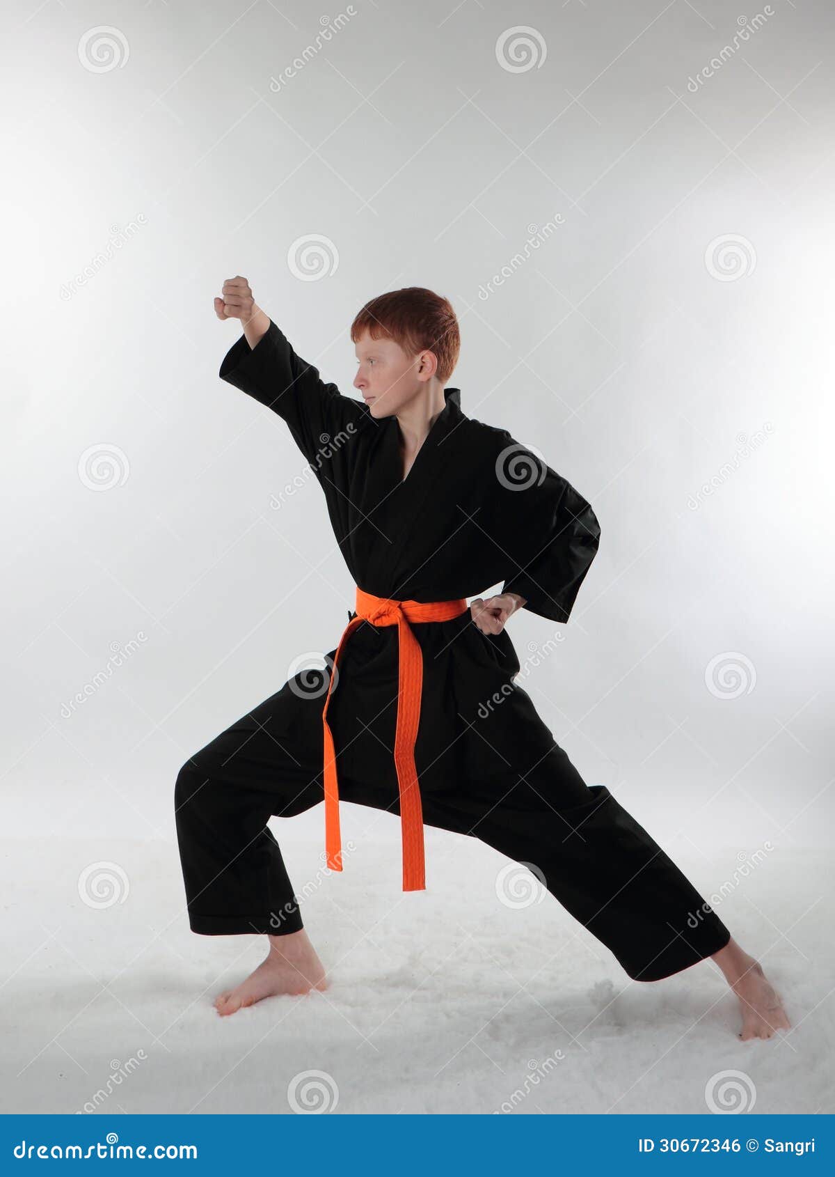 Young Karate Man. stock photo. Image of karate, punch - 30672346