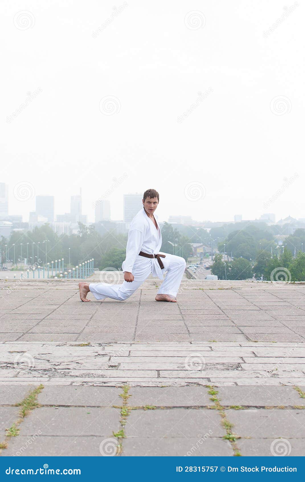 Young karate master stock image. Image of karate, male - 28315757