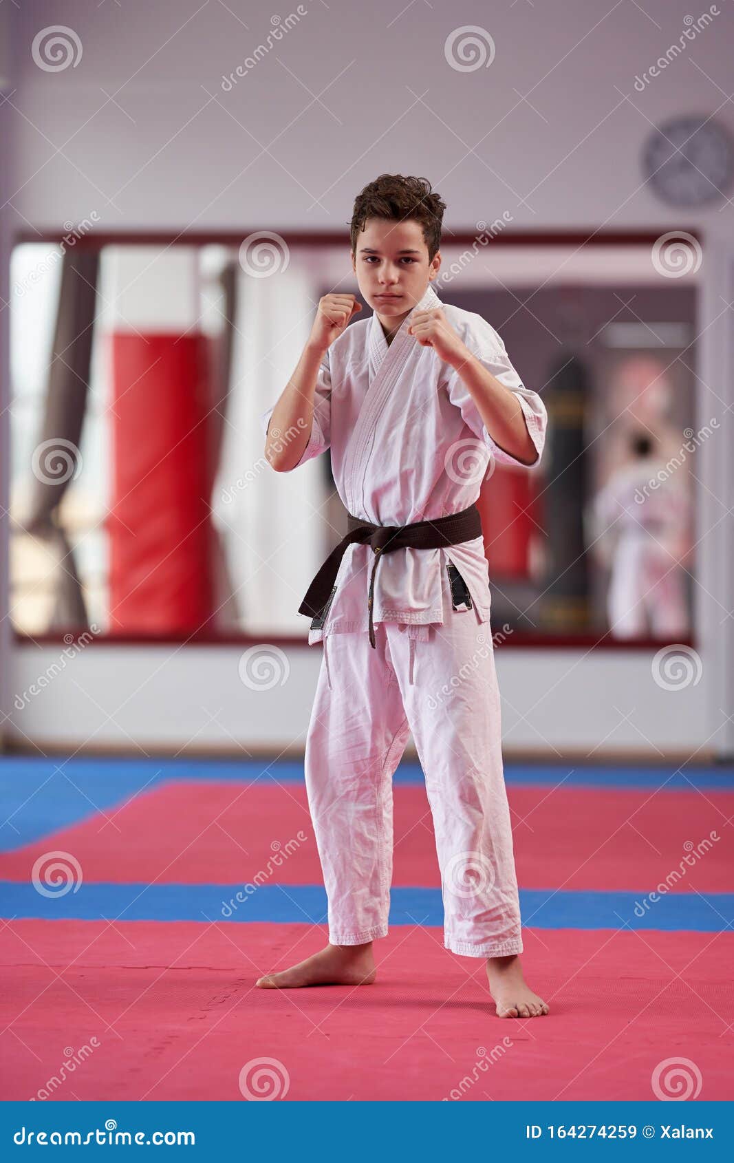Young Karate Student Executing a Kata Stock Image - Image of dojo ...