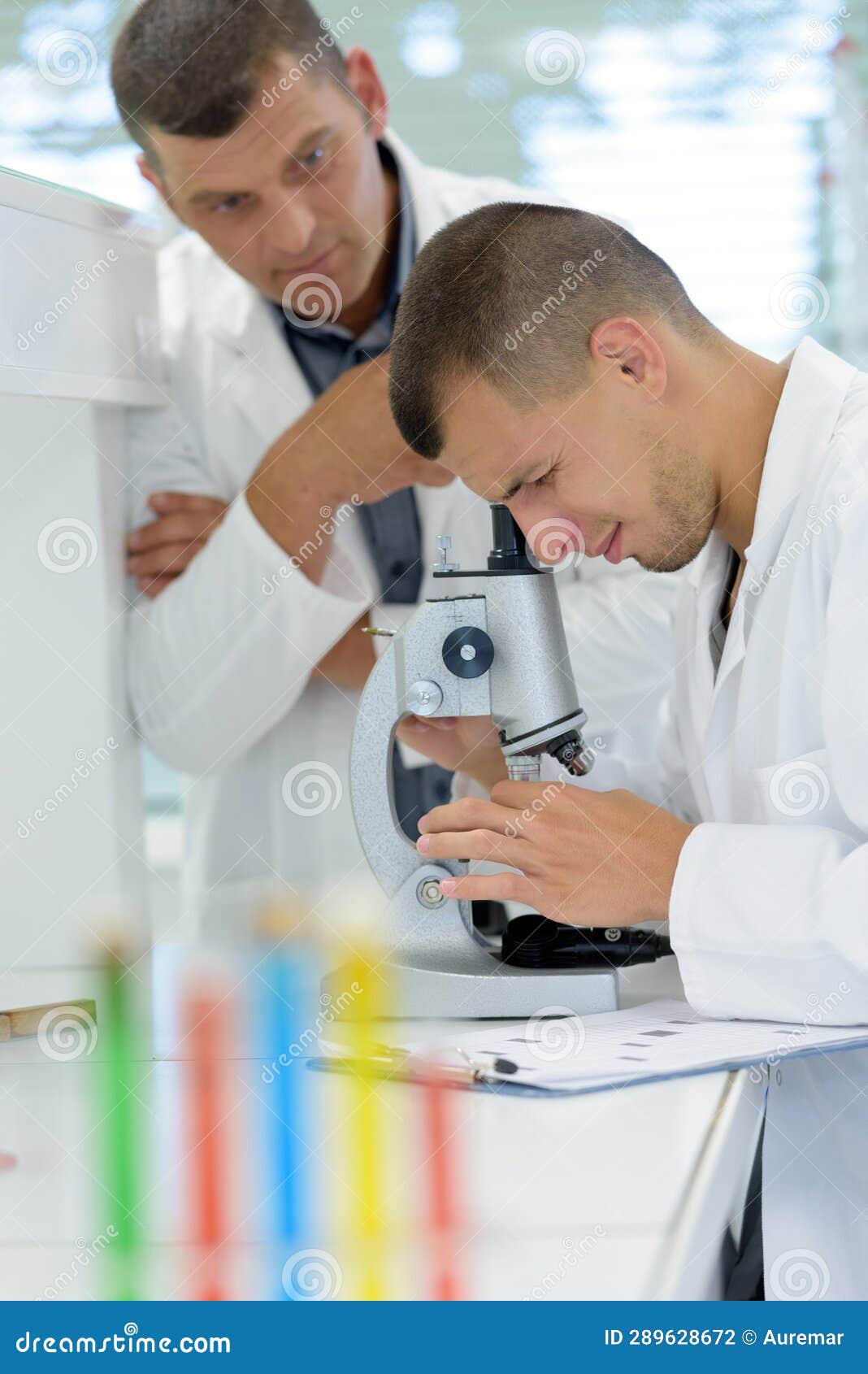Young Lab Assistant in Laboratory Stock Photo - Image of quality ...