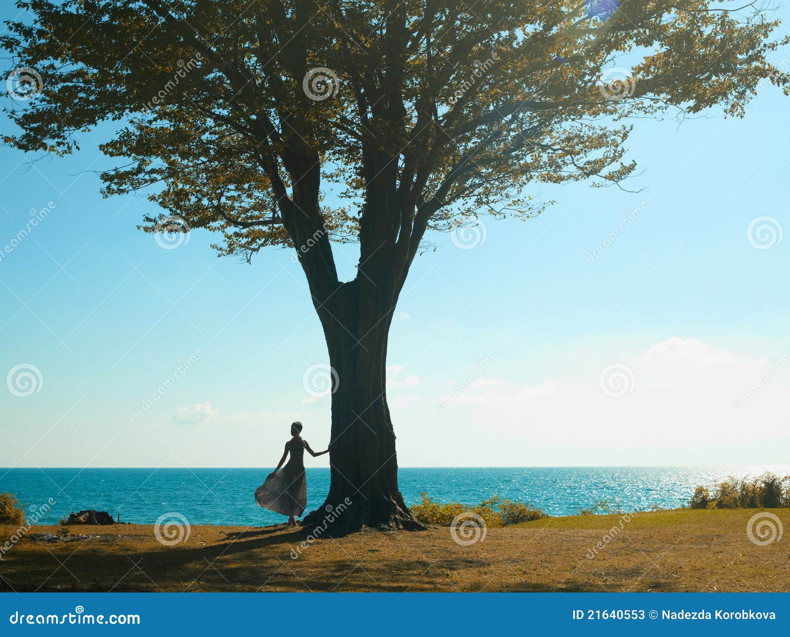 Young Lady with a Beautiful Tree Stock Image - Image of attractive ...