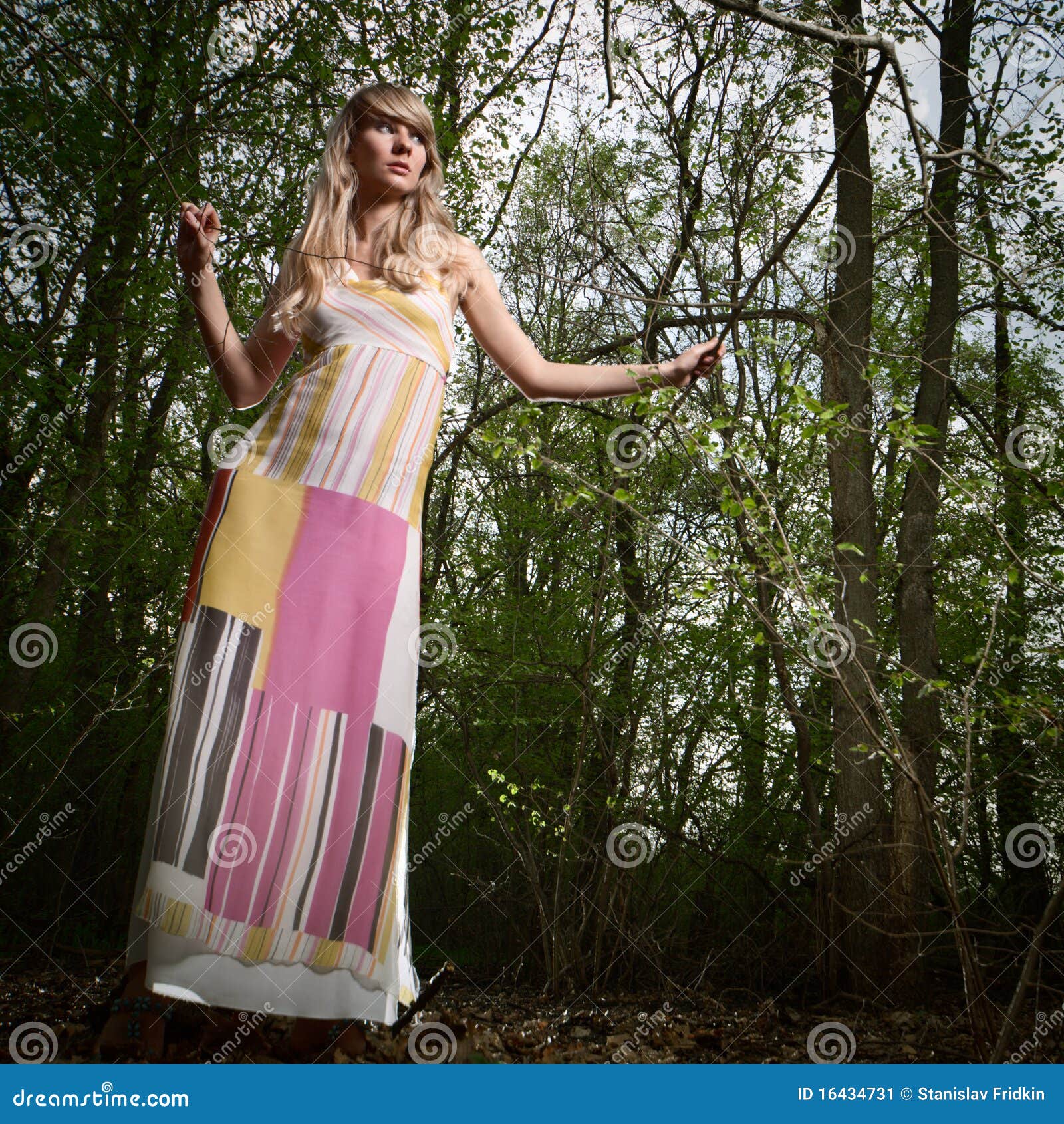 Young lady in forest stock image. Image of hair, attractive - 16434731