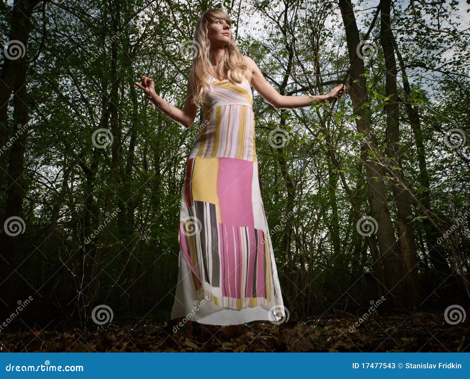 Young lady in forest stock image. Image of model, beautiful - 17477543