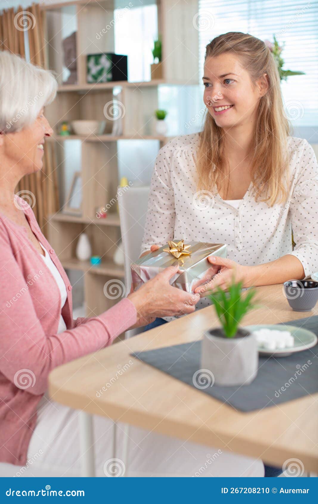 Young Lady Giving Present To Elderly Woman Stock Photo - Image of ...