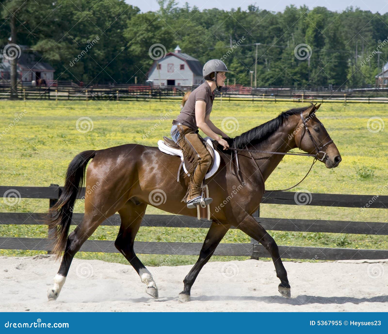 Young Lady Horseback Riding Royalty Free Stock Photo - Image: 5367955