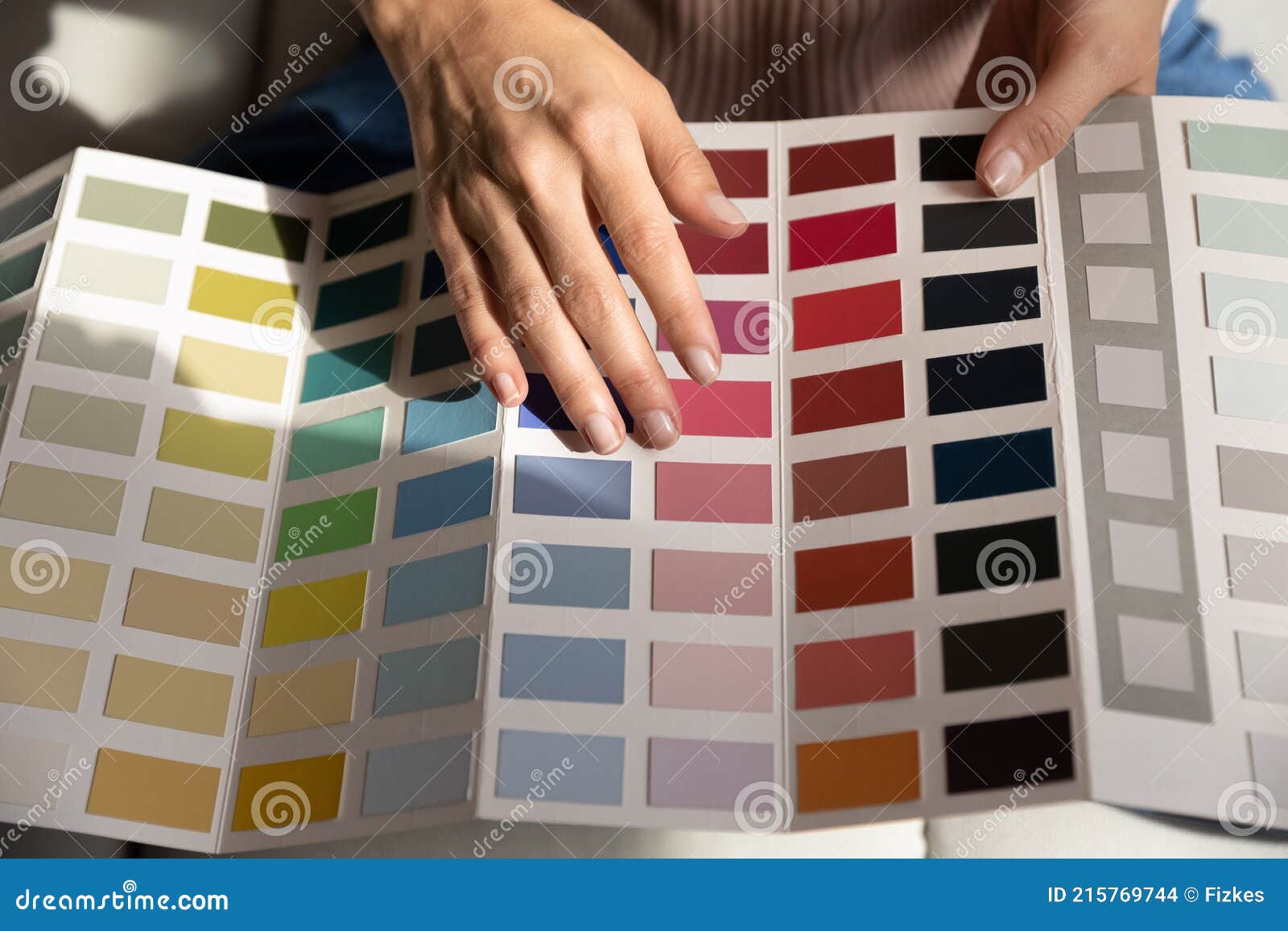 Young Lady Illustrator Hold Palette of Colored Samples in Hands Stock ...