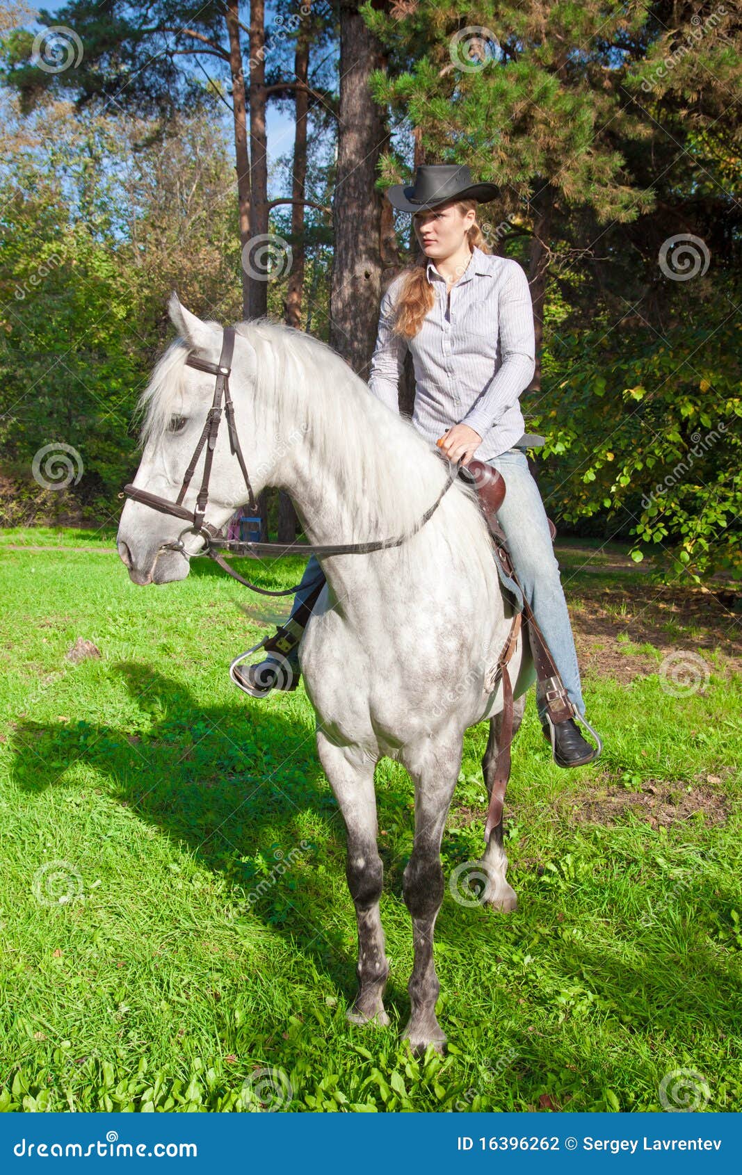 Young Lady riding a horse stock photo. Image of beauty - 16396262