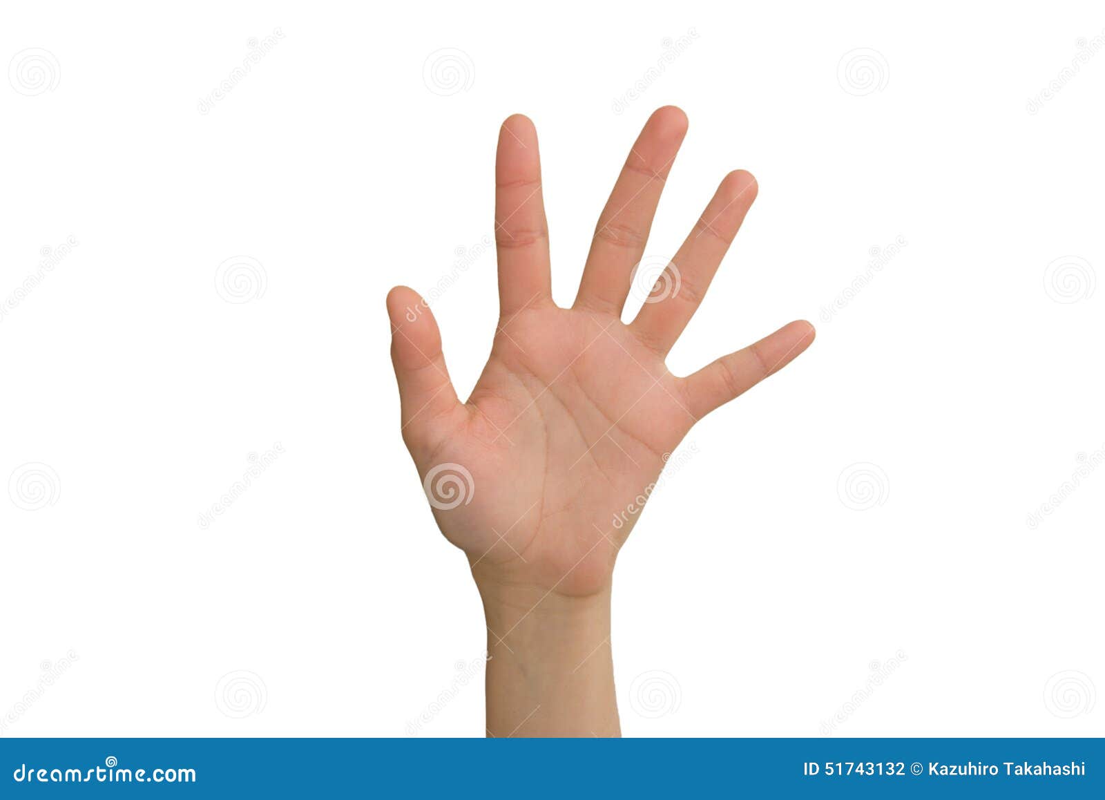 Young Lady S Left Open Hand Stock Photo - Image of finger, shot: 51743132