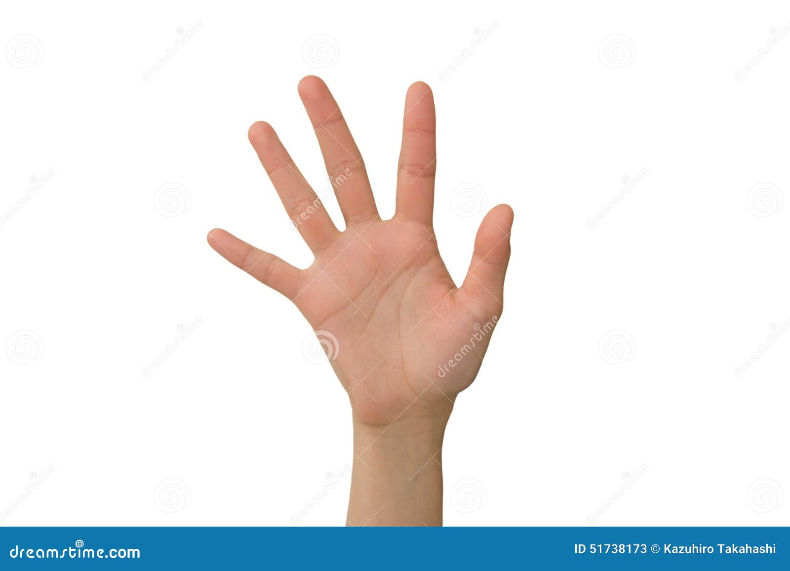 Young Ladys Right Open Hand Stock Image - Image of color, horizontal ...