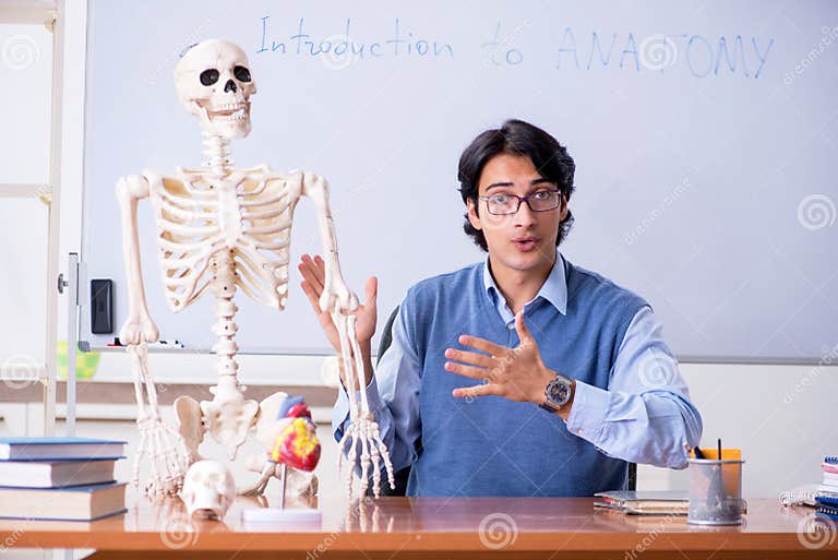 The Young Lecturer Teacher Teaching Anatomy Stock Image Image Of