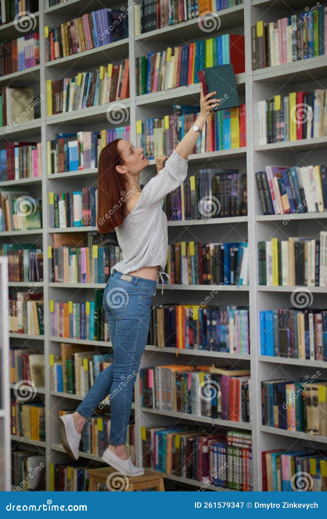 Young Librarian Searching for a Book on Bookshelves Stock Image - Image ...