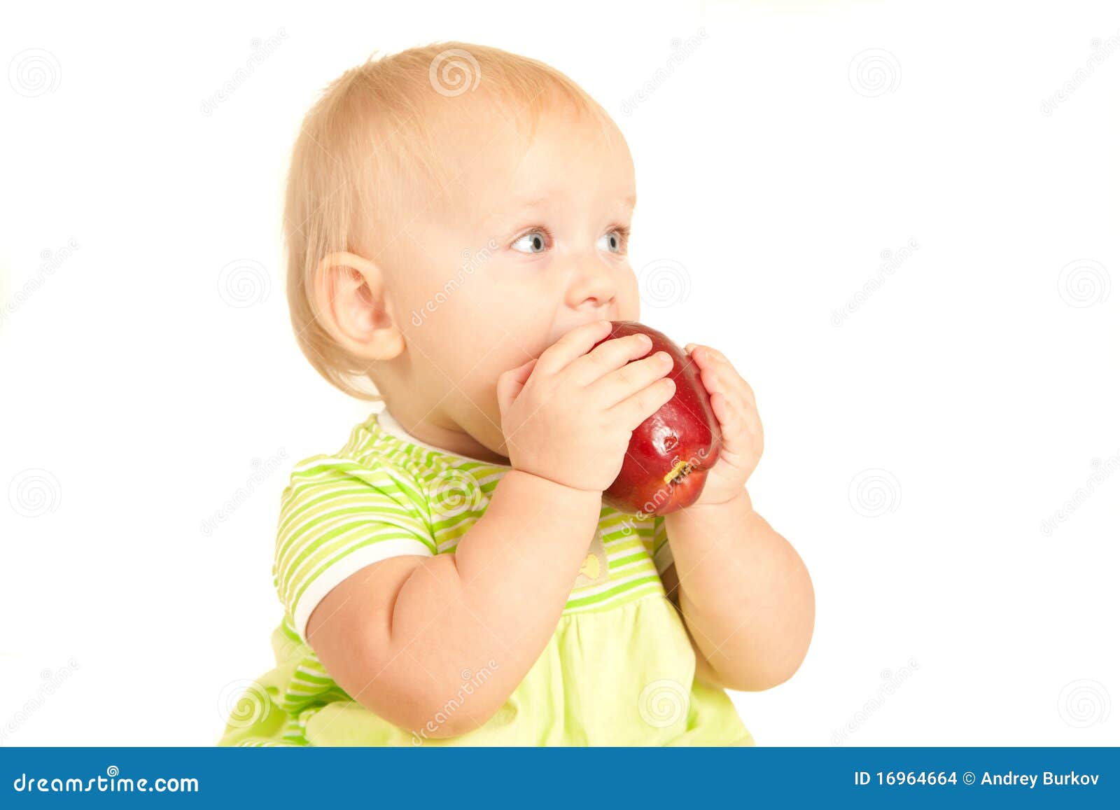 Young Little Baby Eat Red Apple on White Stock Photo - Image of apple ...