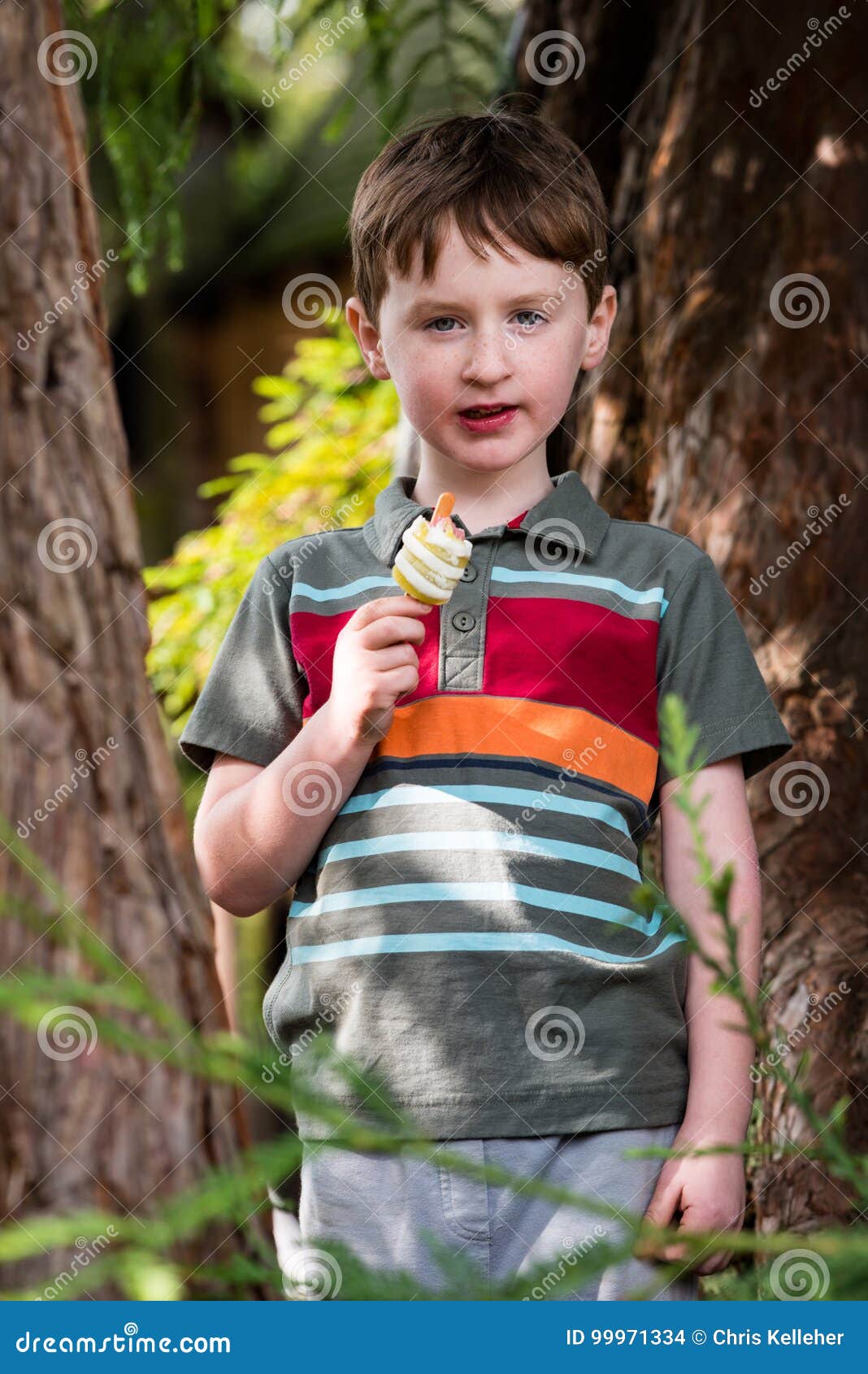 Young Little Boy Portrait Eating Popsicle Looking at Camera Stock Photo ...