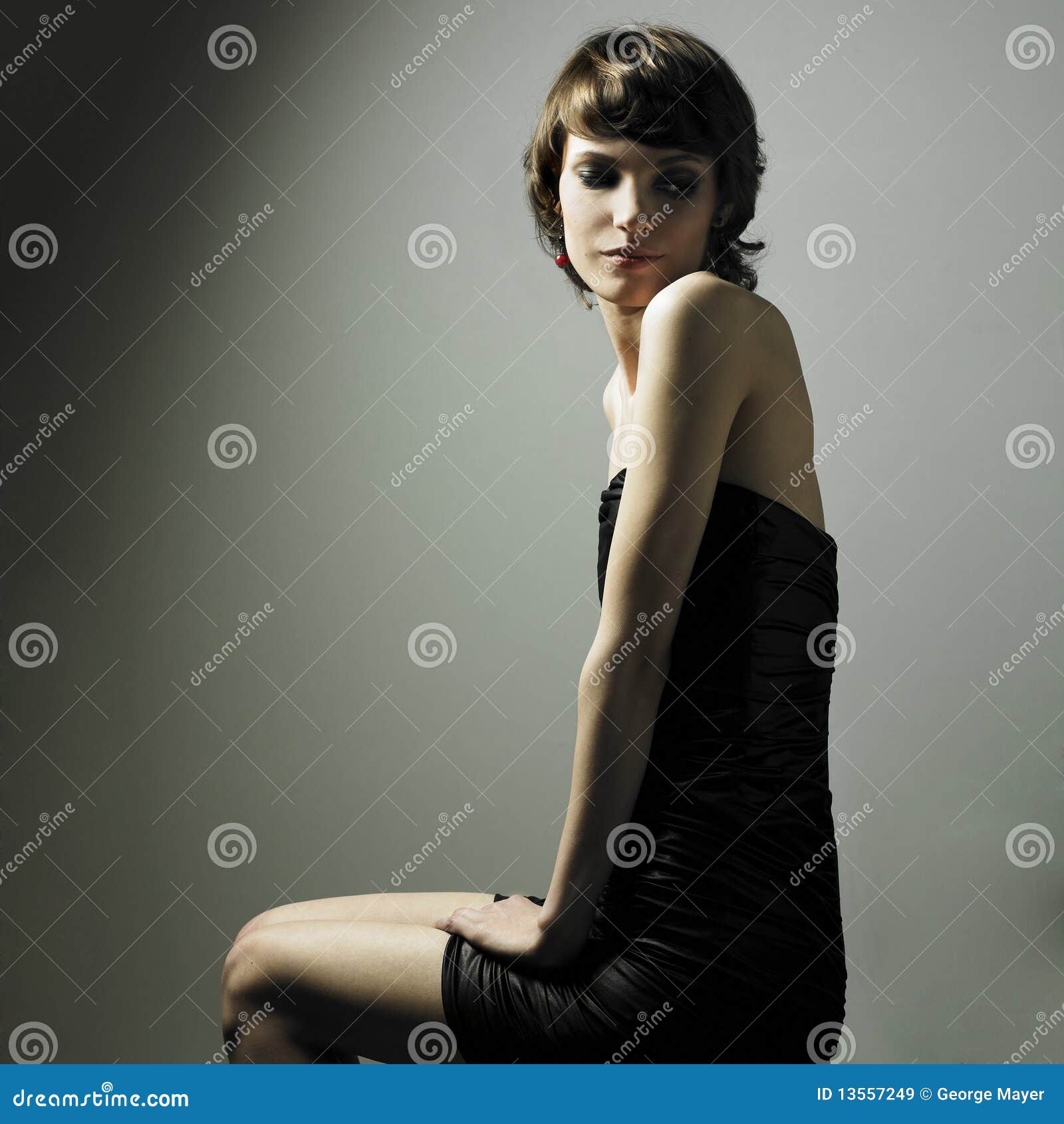 Young Magnificent Lady in Elegant Dress Stock Image - Image of dark ...