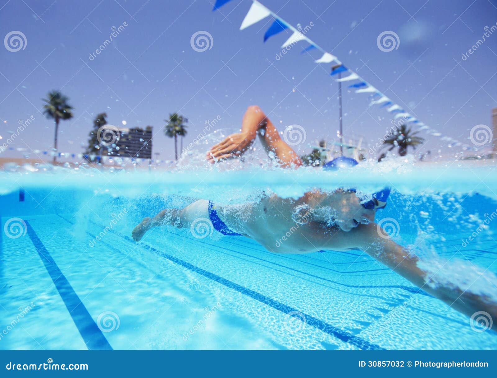Young Male Athlete Swimming in Pool Stock Photo - Image of agility ...