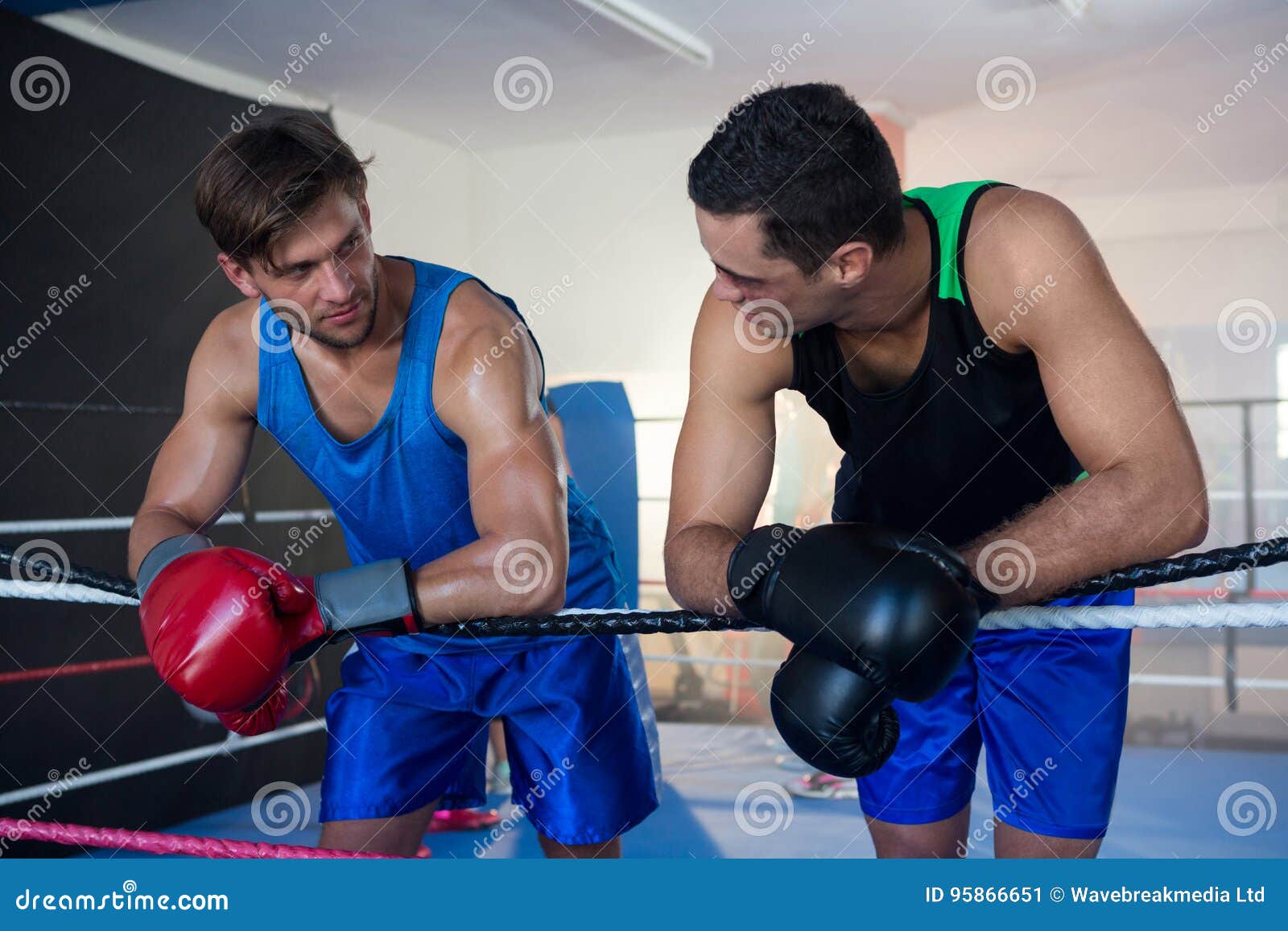 Young Male Boxers Leaning on Rope Stock Image - Image of fighter ...