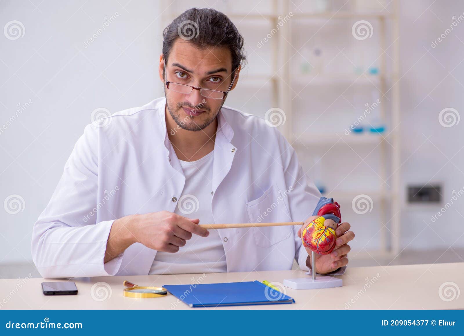 Young Male Cardiologist Explaining Human Heart Structure Stock Image ...