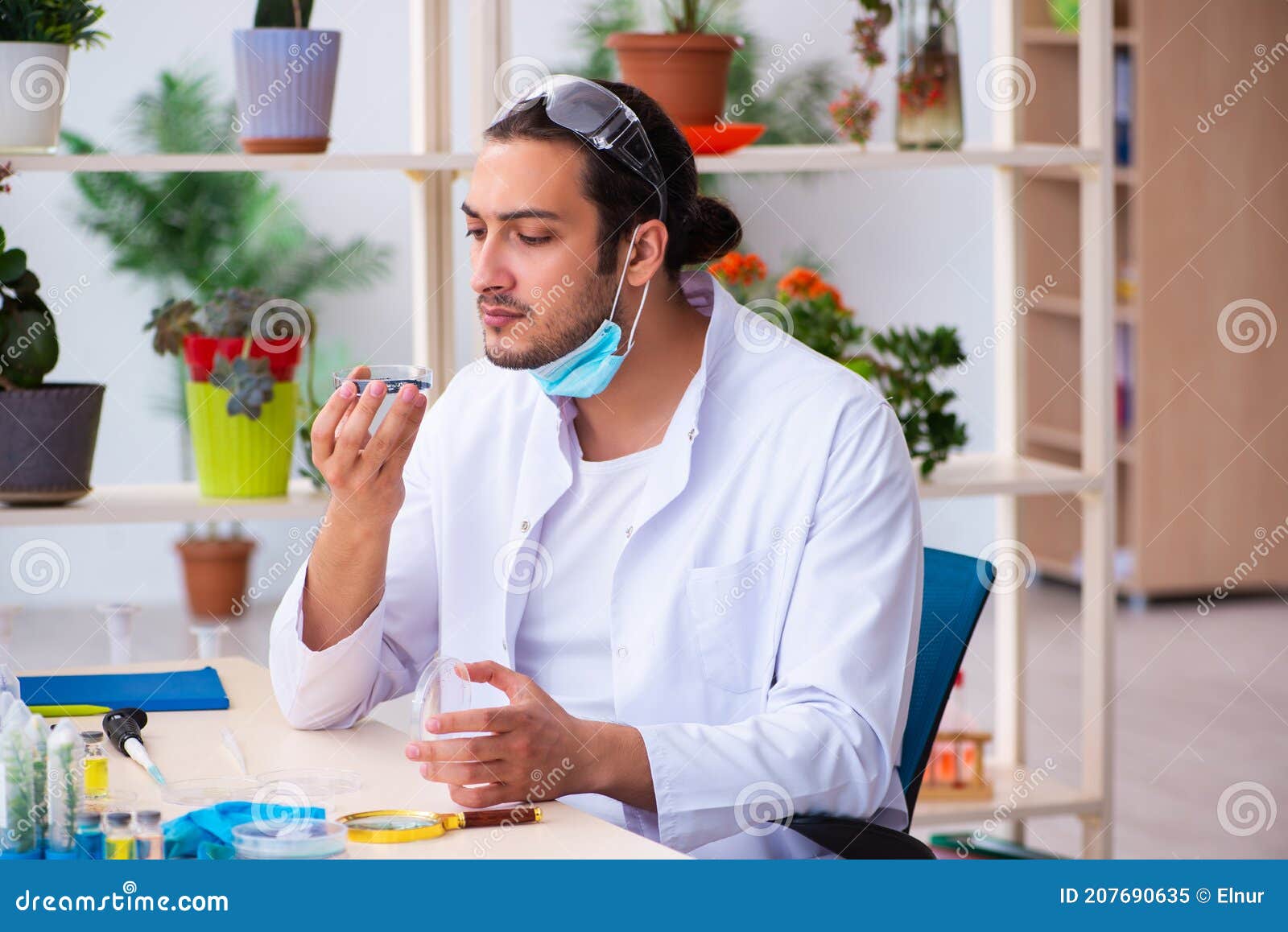 Young Male Chemist Perfumer Working in the Lab Stock Image - Image of ...