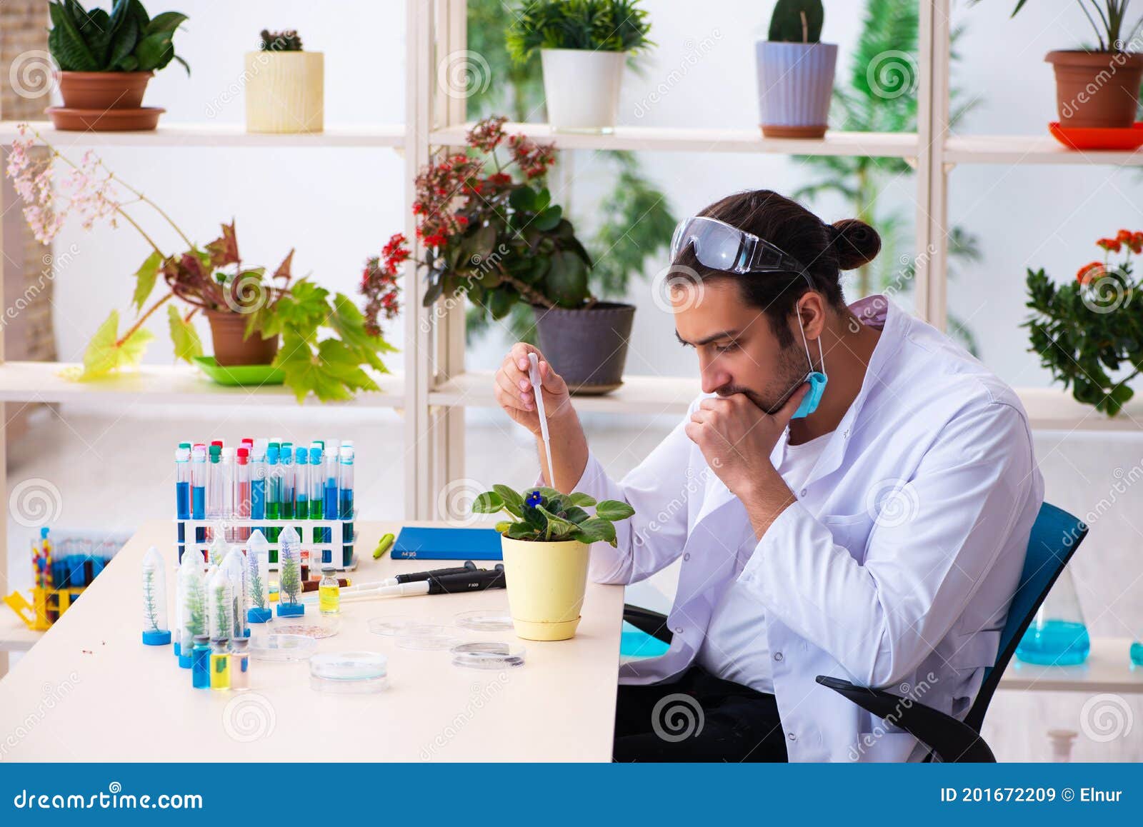 Young Male Chemist Perfumer Working in the Lab Stock Image - Image of ...