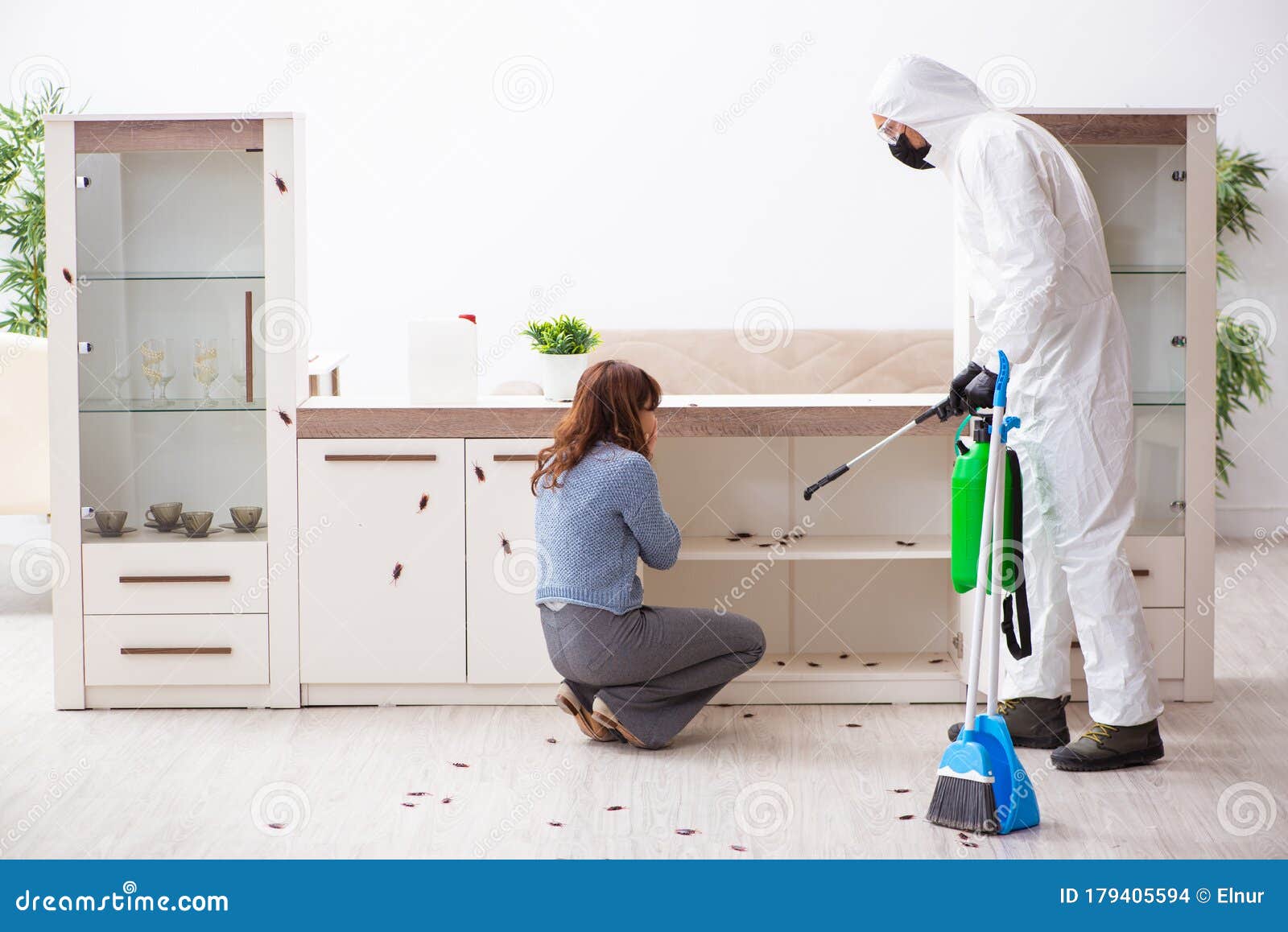Young Male Contractor and Female Client during Pest Control Stock Photo ...