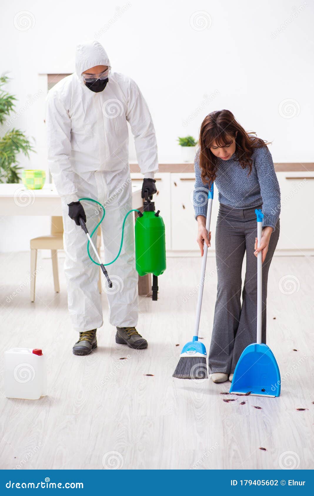 Young Male Contractor and Female Client during Pest Control Stock Photo ...