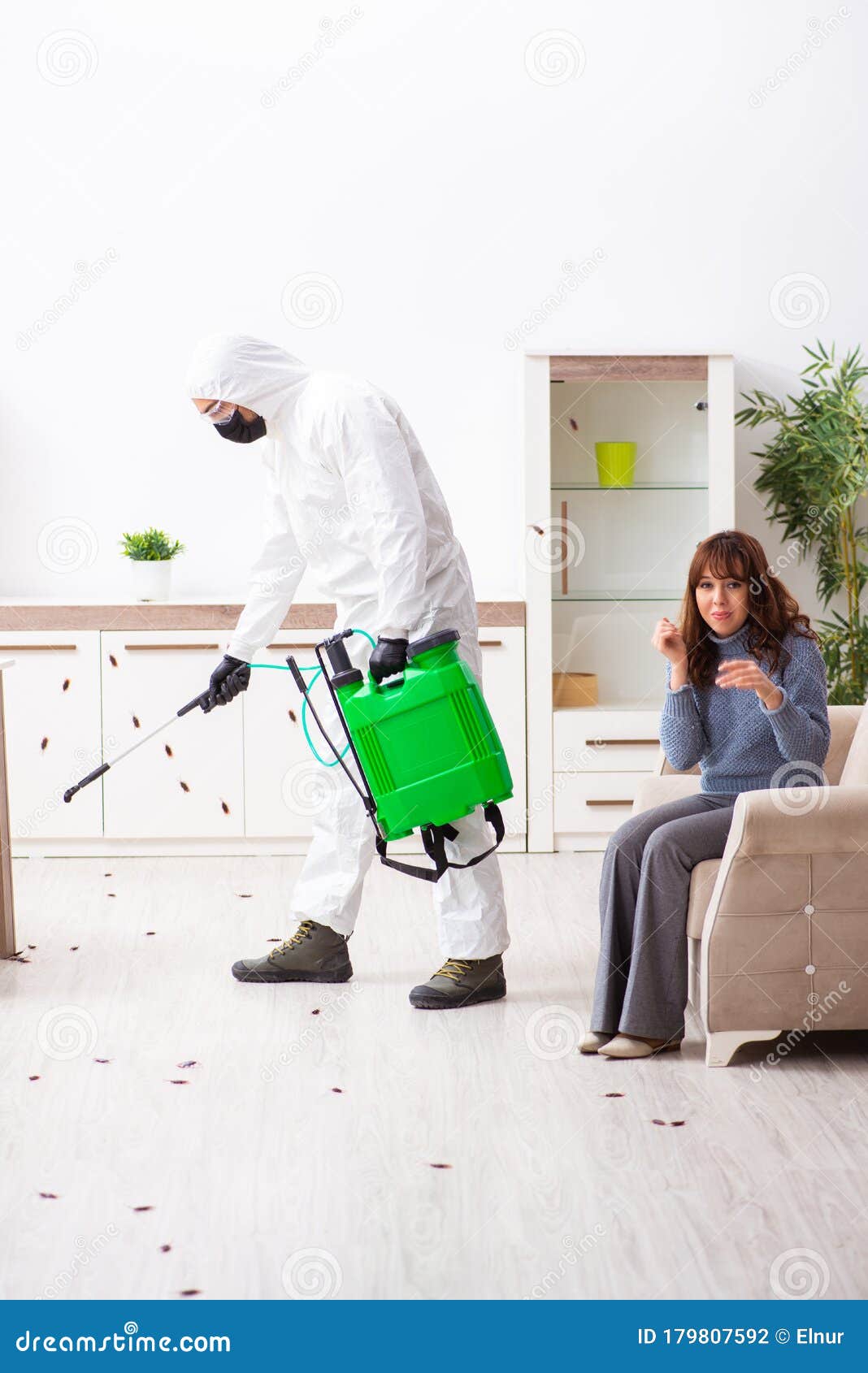 Young Male Contractor and Female Client during Pest Control Stock Photo ...