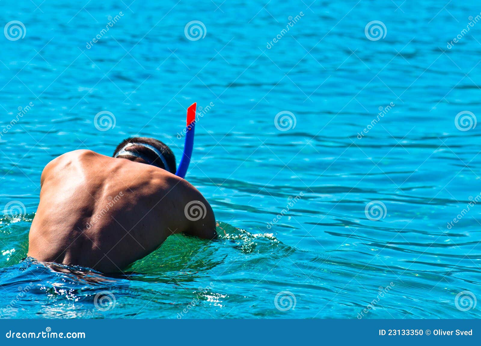 Young male diving stock photo. Image of recreation, funny - 23133350