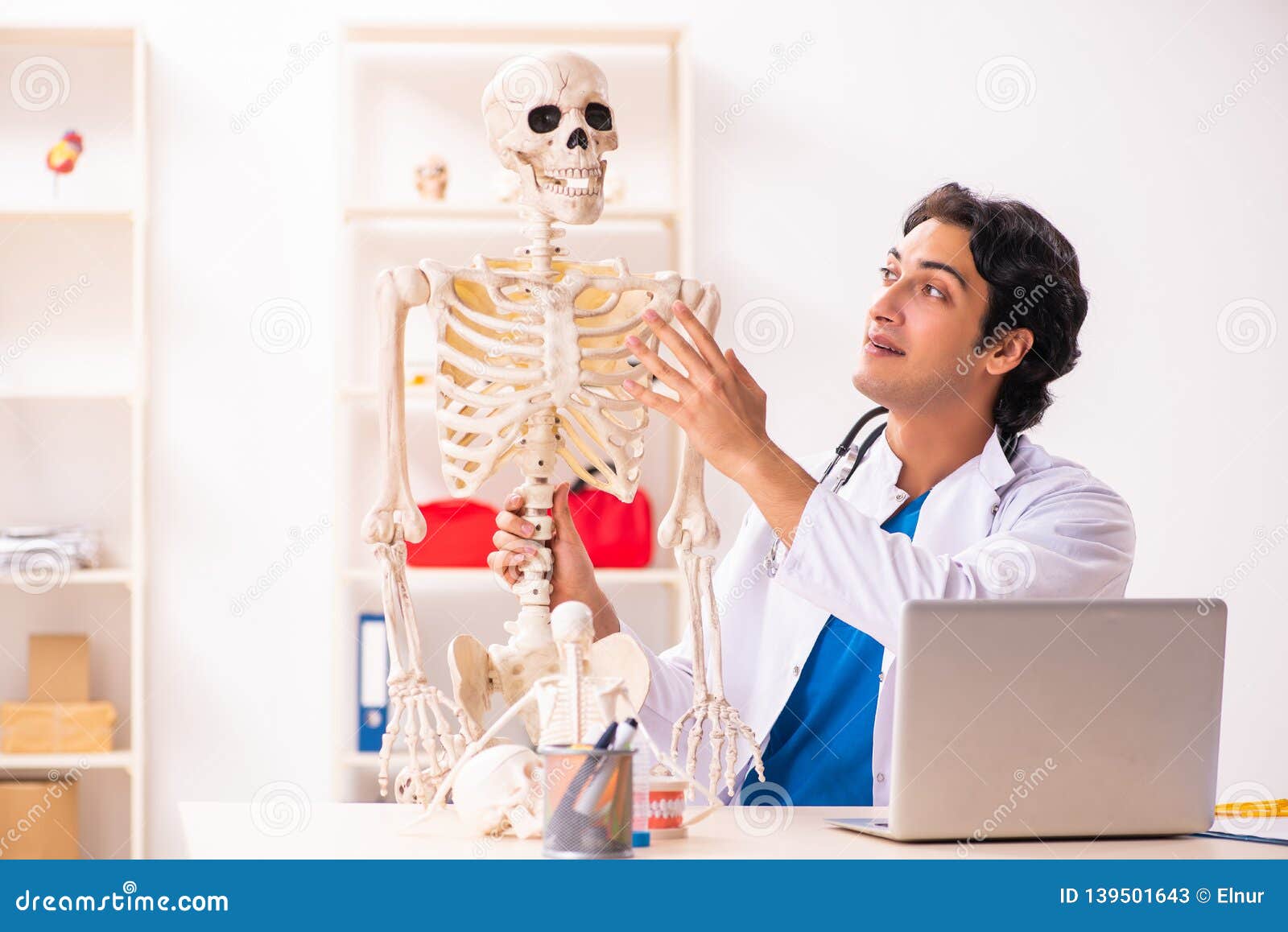 The Young Male Doctor with Skeleton Stock Image - Image of medicine ...