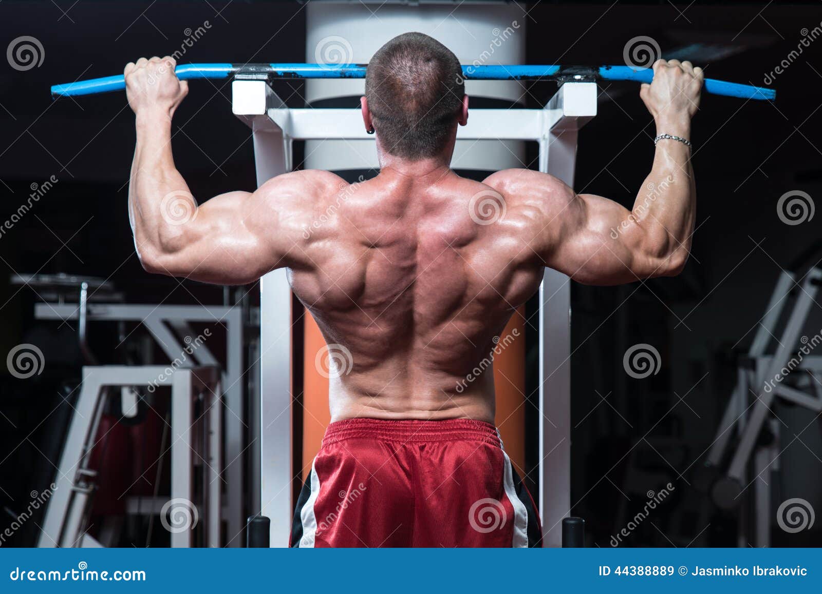 Back Exercises At Home For Men