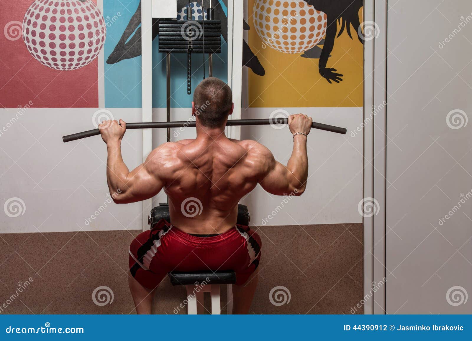 Young Male Doing Back Exercises in the Gym Stock Photo - Image of ...