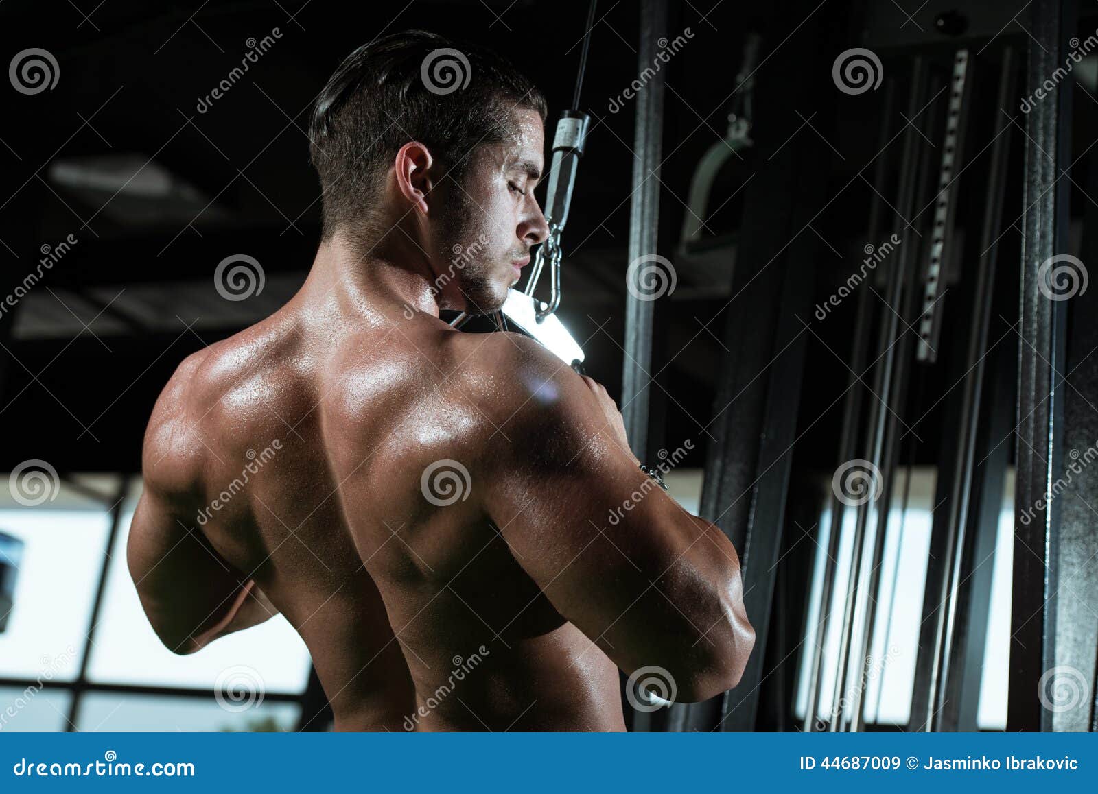 Young Male Doing Back Exercises in the Gym Stock Image - Image of ...