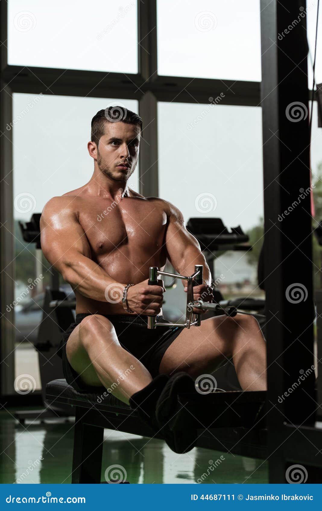 Young Male Doing Back Exercises in the Gym Stock Image - Image of ...