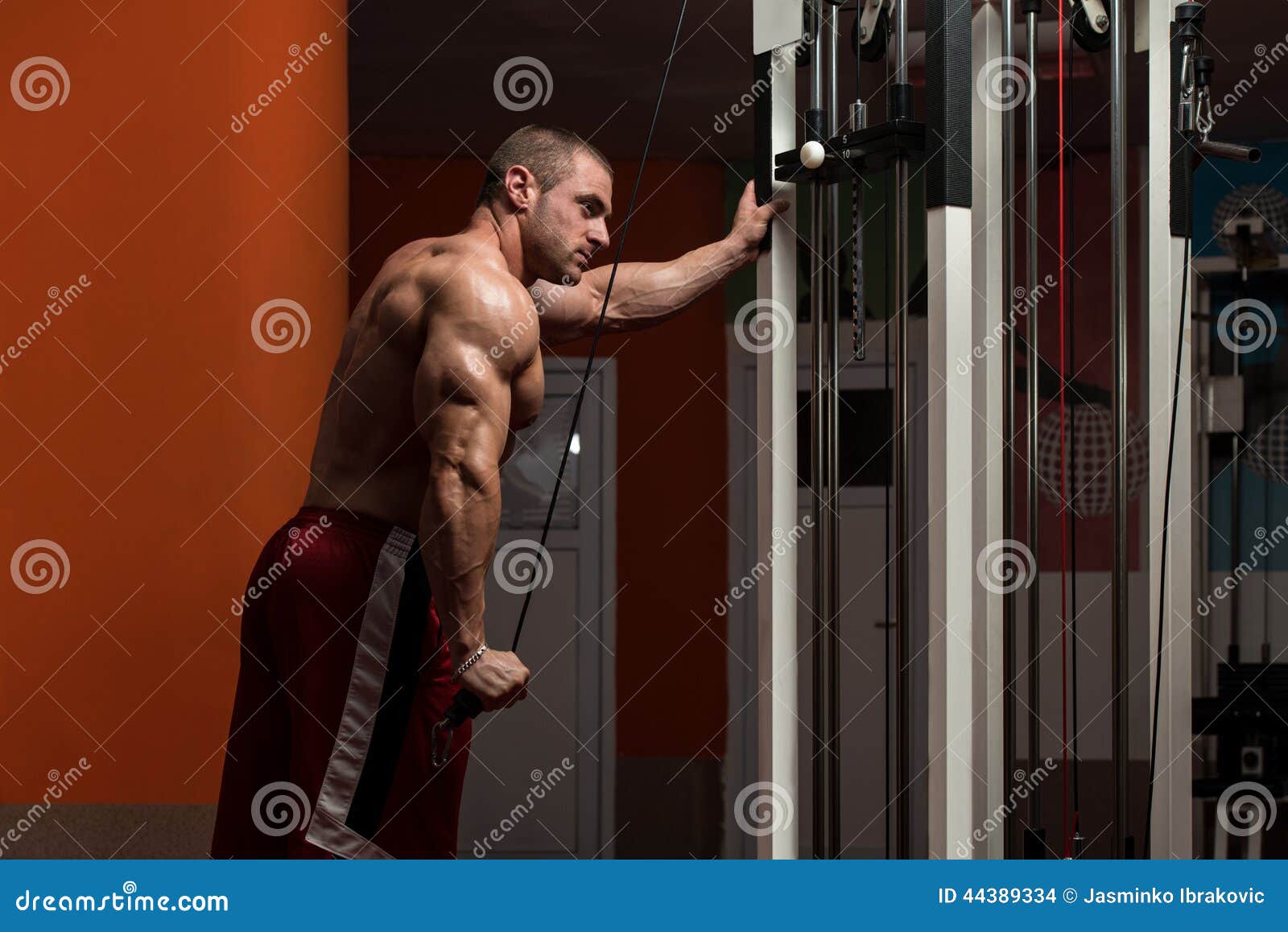 Young Male Doing Triceps Exercises in the Gym Stock Photo - Image of ...