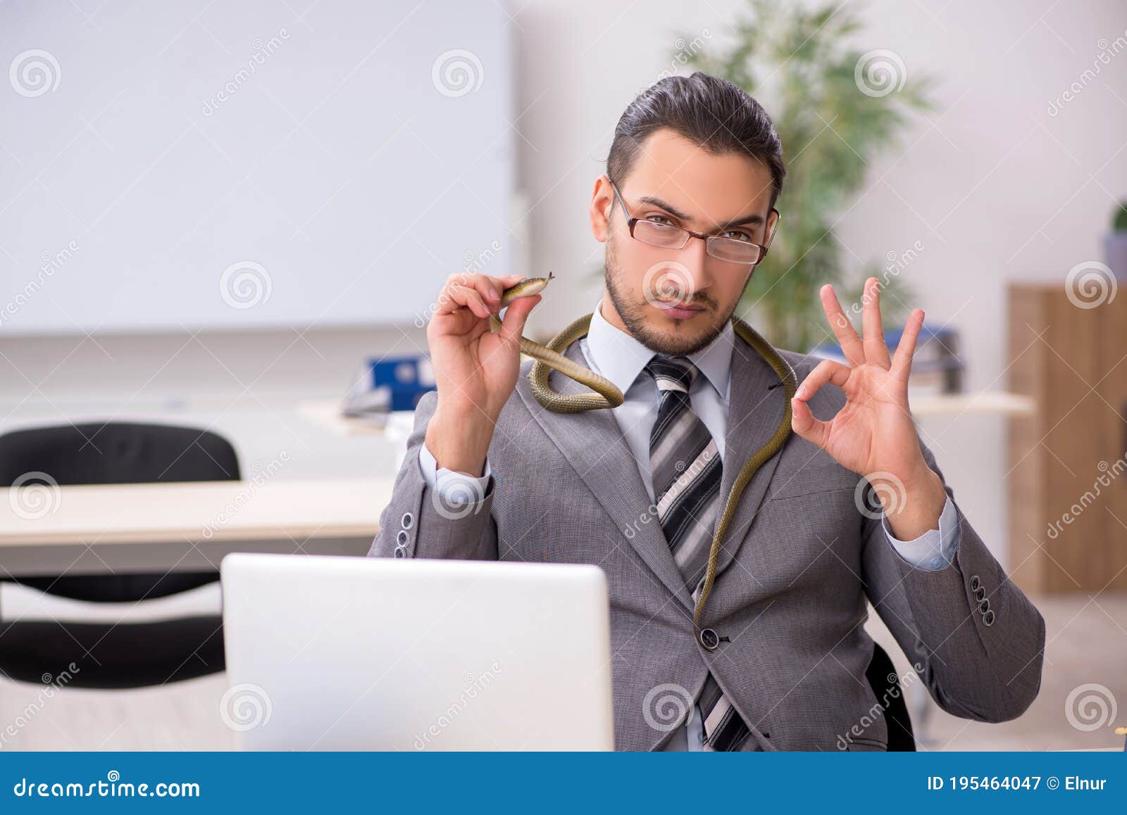Young Male Employee with Snake in the Office Stock Image - Image of ...