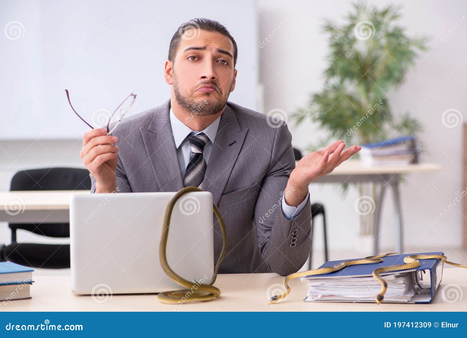 Young Male Employee with Snake in the Office Stock Image - Image of ...