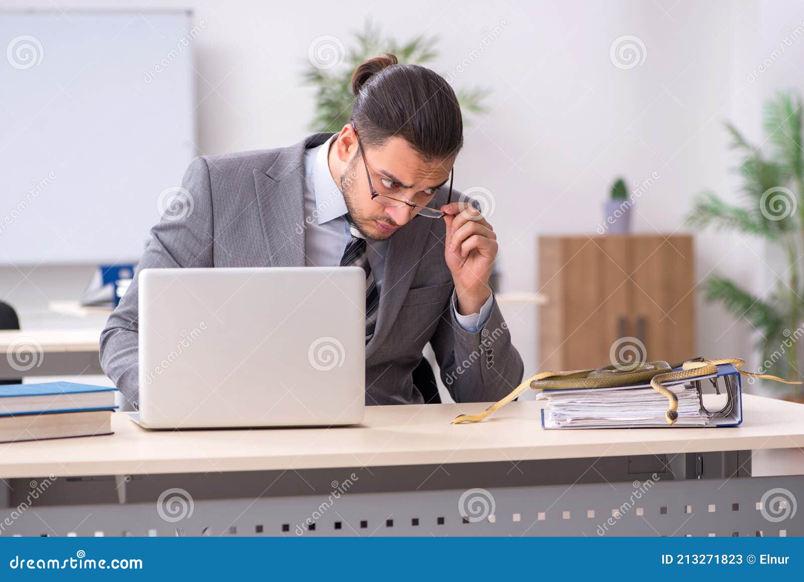 Young Male Employee with Snake in the Office Stock Image - Image of ...