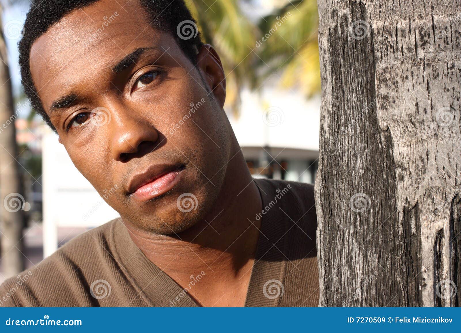 Young Male Glancing from Behind a Tree Stock Image - Image of outside ...