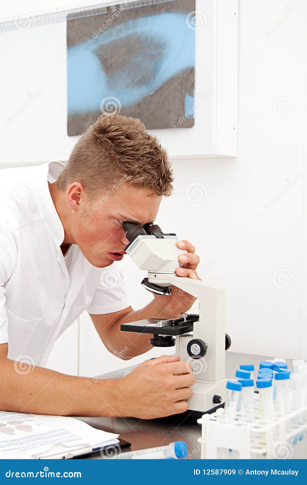 Young Male Lab Technician 06 Stock Image - Image of medical, portrait ...