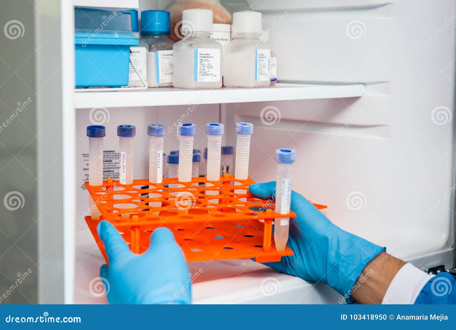 Laboratory Freezer Rack Stock Photos - Free & Royalty-Free Stock Photos ...