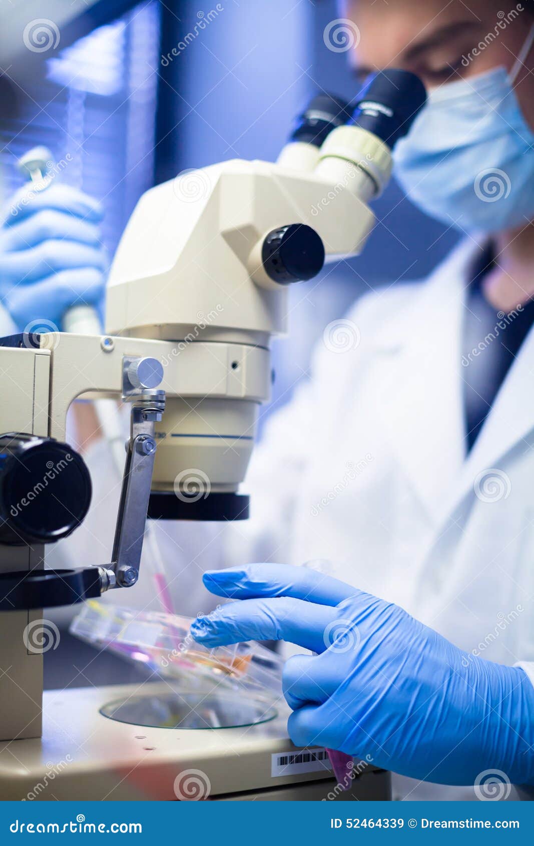 Young Male Scientist with a Microscope Working with Sample Stock Image ...