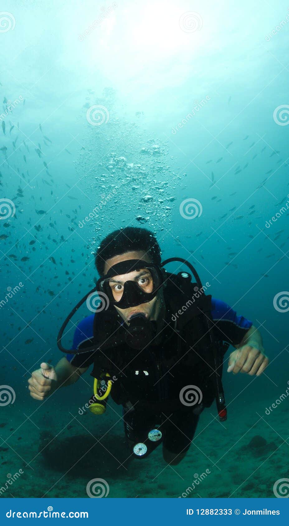 Young Male Scuba Diver Portrait Stock Image - Image of activity, marine ...