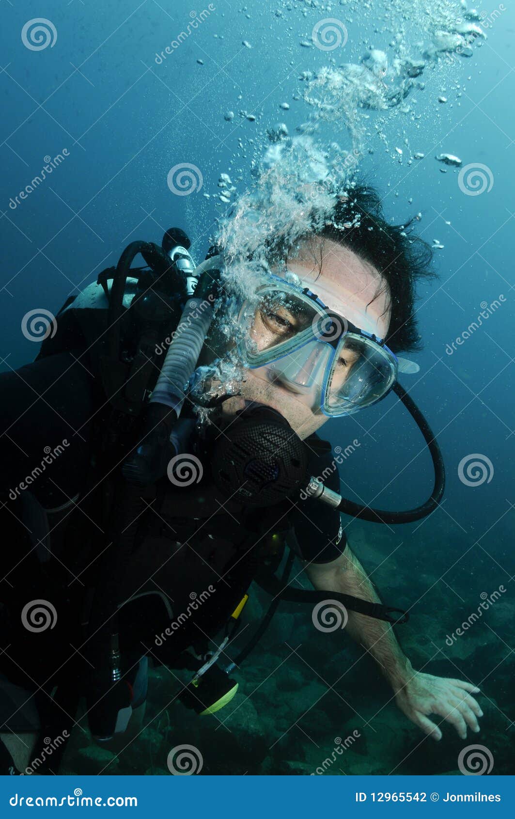 Young Male Scuba Diver Portrait Stock Photo - Image of divers, nature ...