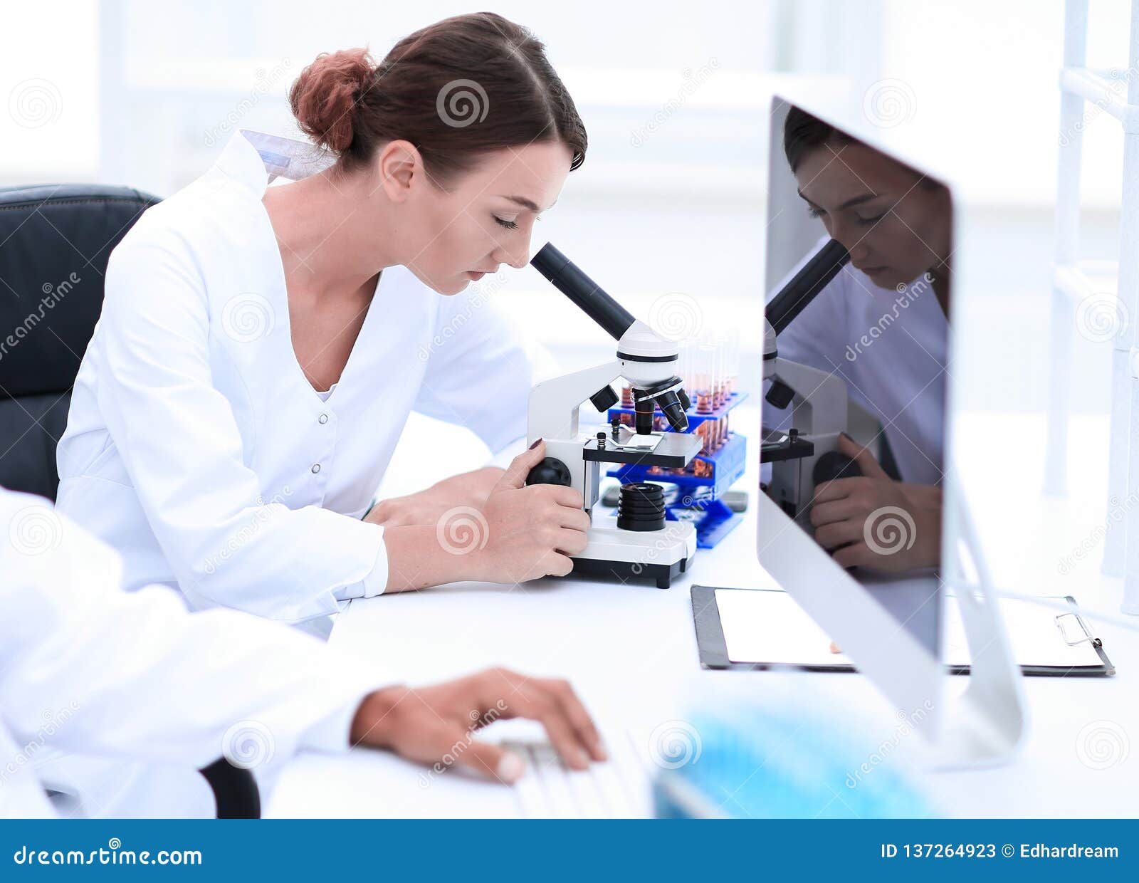 Young Male Technician Working on Computer in Laboratory Stock Image ...