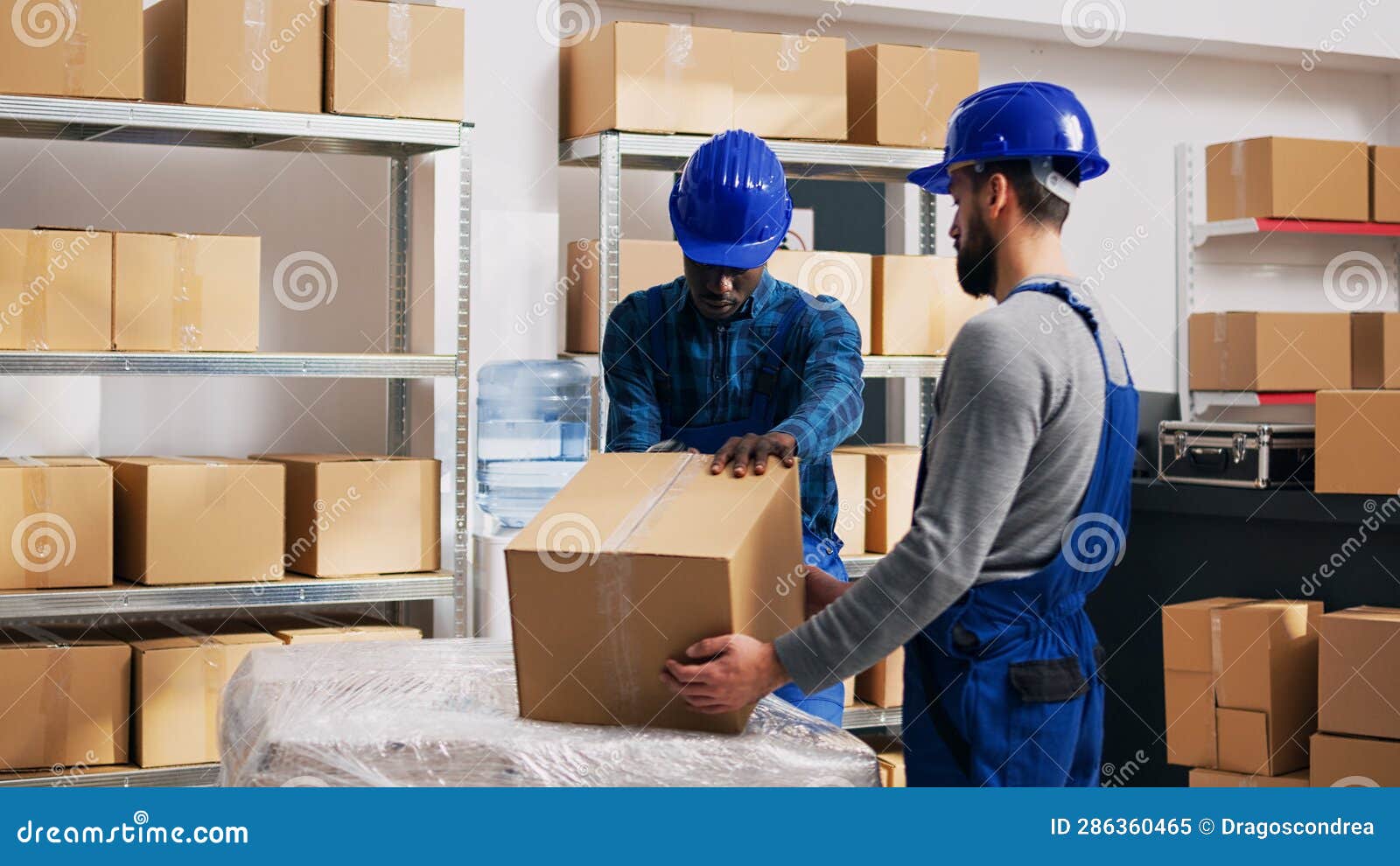 Young Male Workers Checking Merchandise in Packages Stock Image - Image ...