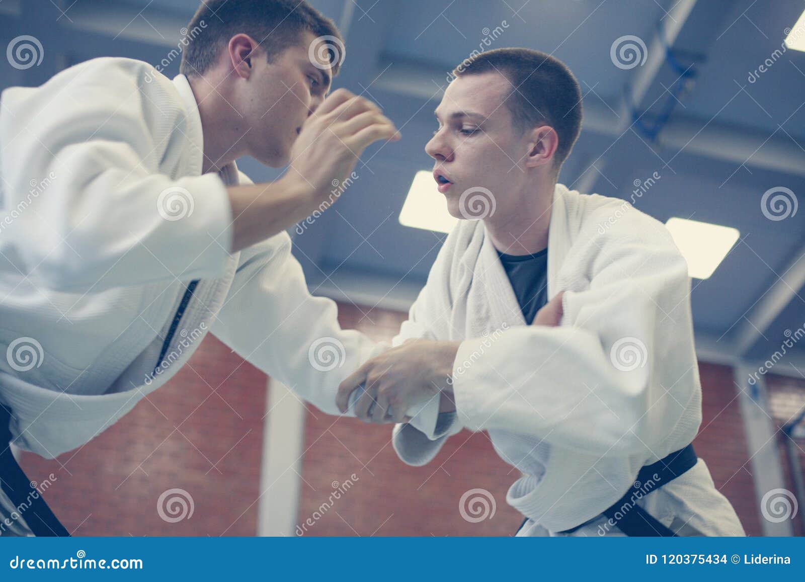 Young Males Practicing Judo Together. Stock Photo - Image of culture ...