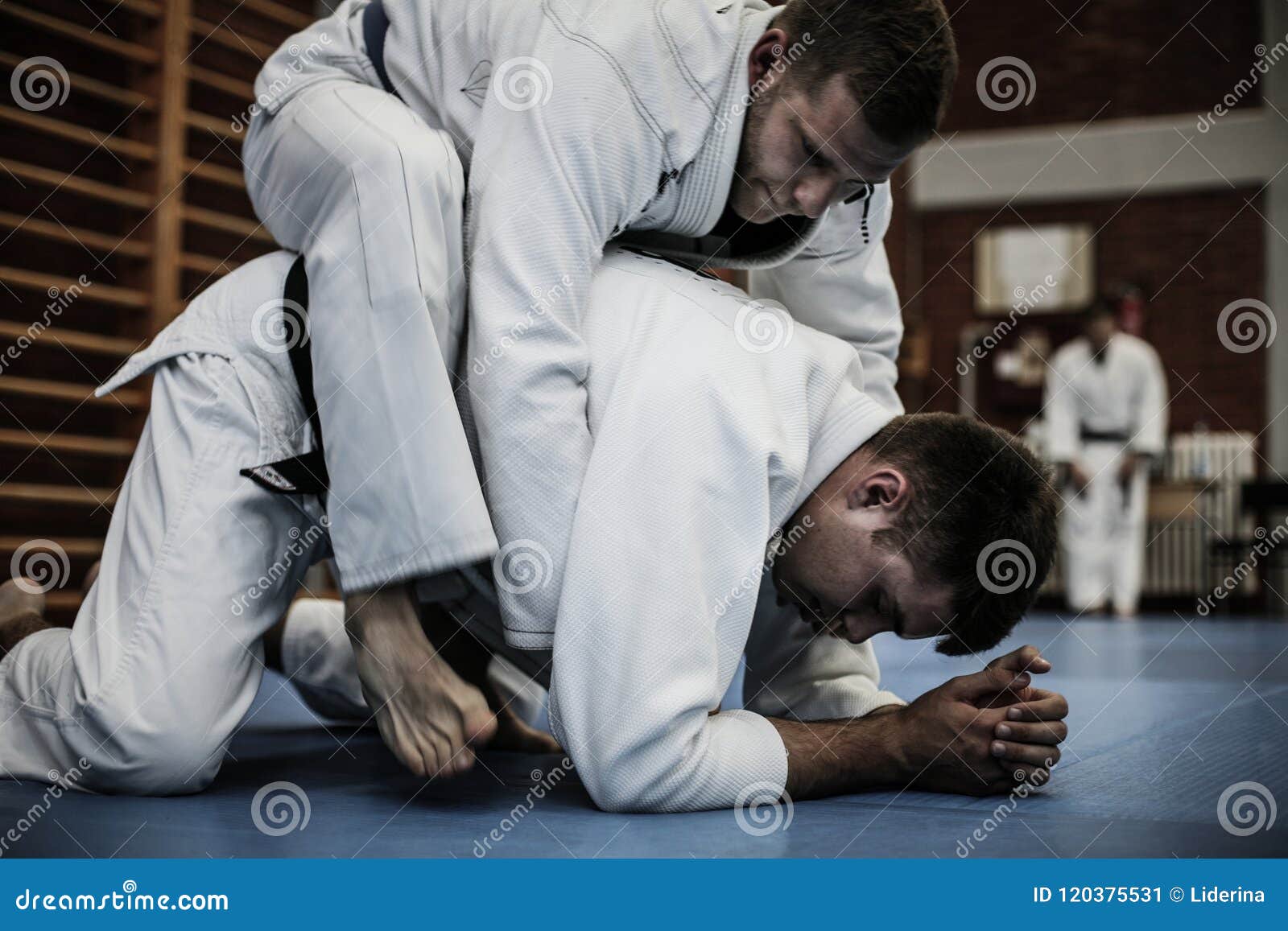 Young Males Practicing Judo Together. Stock Image - Image of indoors ...