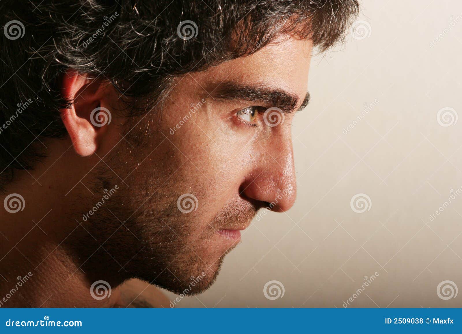 Young man stock photo. Image of male, face, portrait, attractive - 2509038