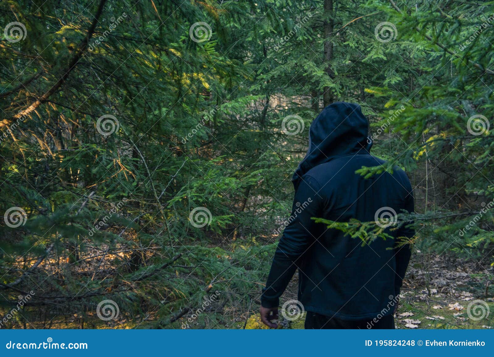 Young Man Alone in the Forest Stock Photo - Image of people, walking ...