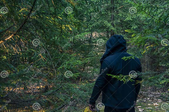Young Man Alone in the Forest Stock Photo - Image of people, walking ...